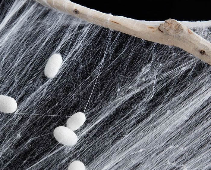 Overview of Natural Protein Fibers – SILKSILKY